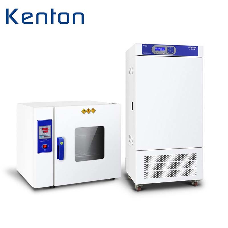 Sterilizing Chamber Small Lab Dryer Drying Oven For 110/220V